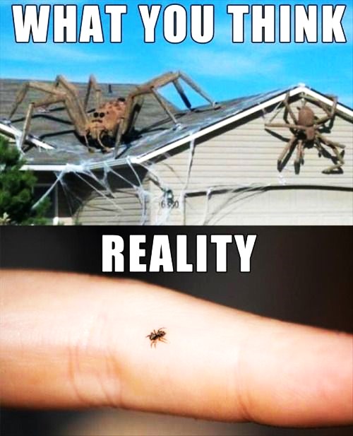 Happy Friday the 13th! - Mitch Teemley